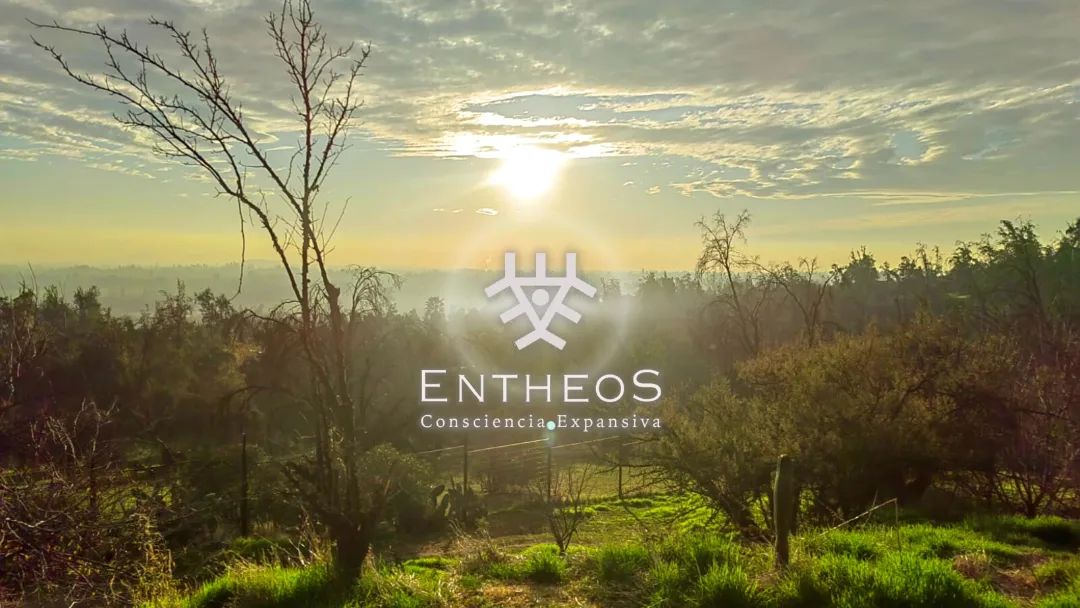 VALORES - Organización Entheos